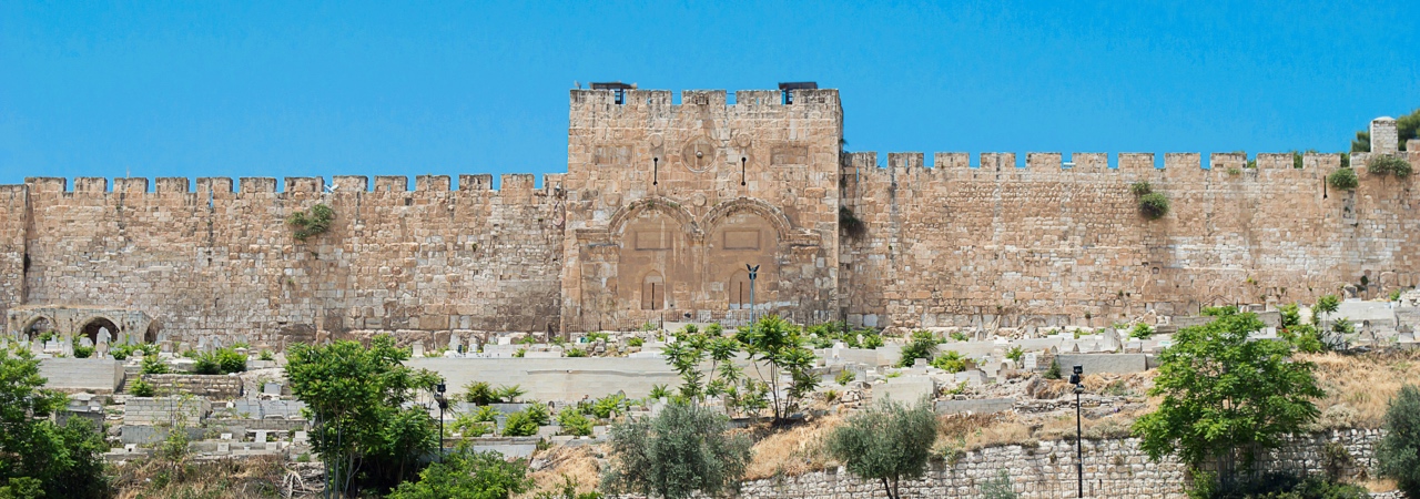 Holy Scriptures and Israel - Contact